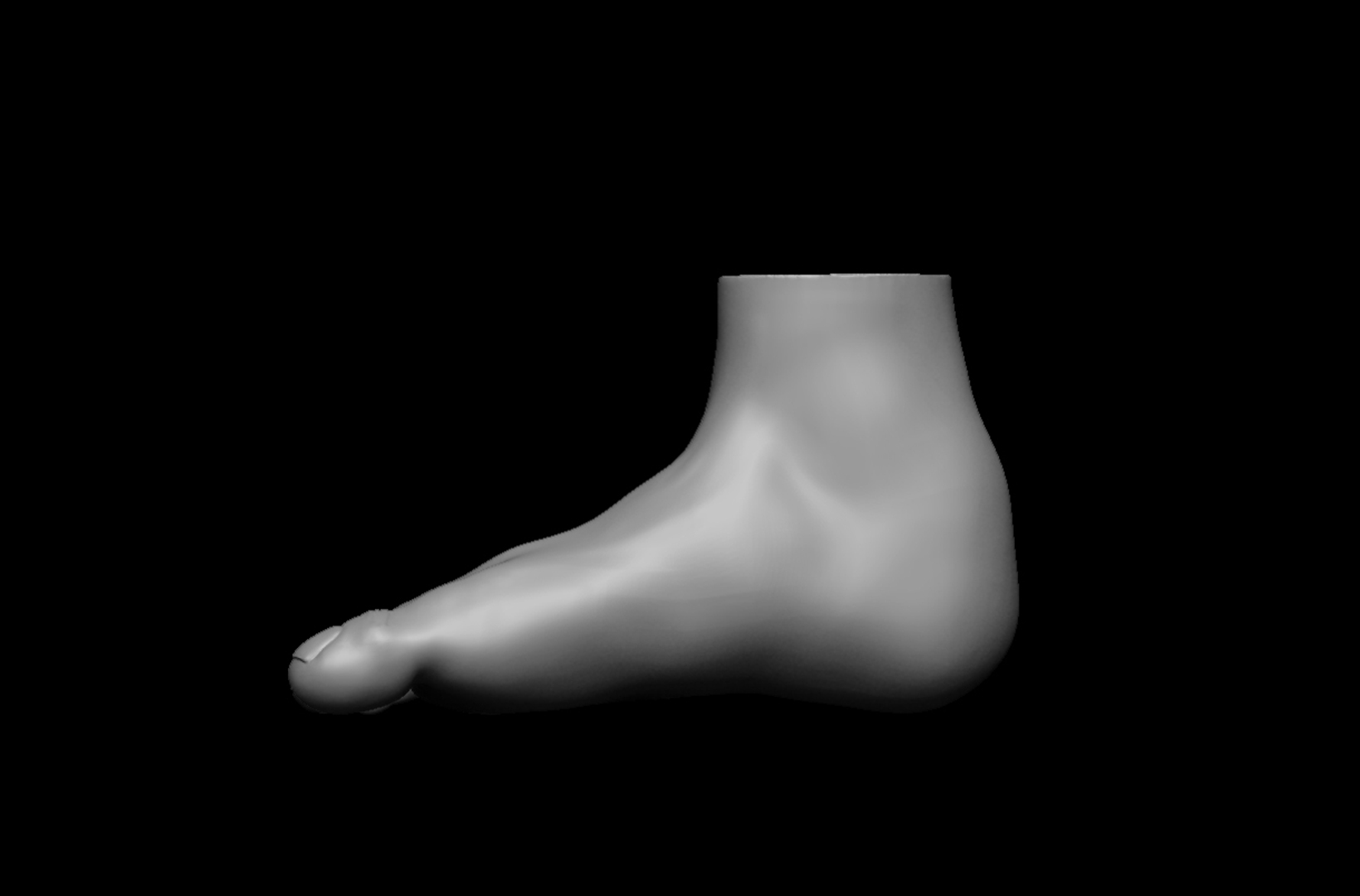Free 3D foot highpoly - TurboSquid 1419093