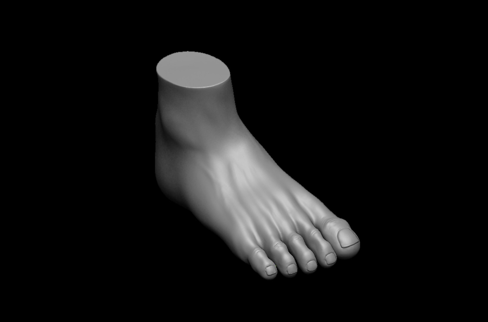 Free 3D Foot Highpoly - TurboSquid 1419093