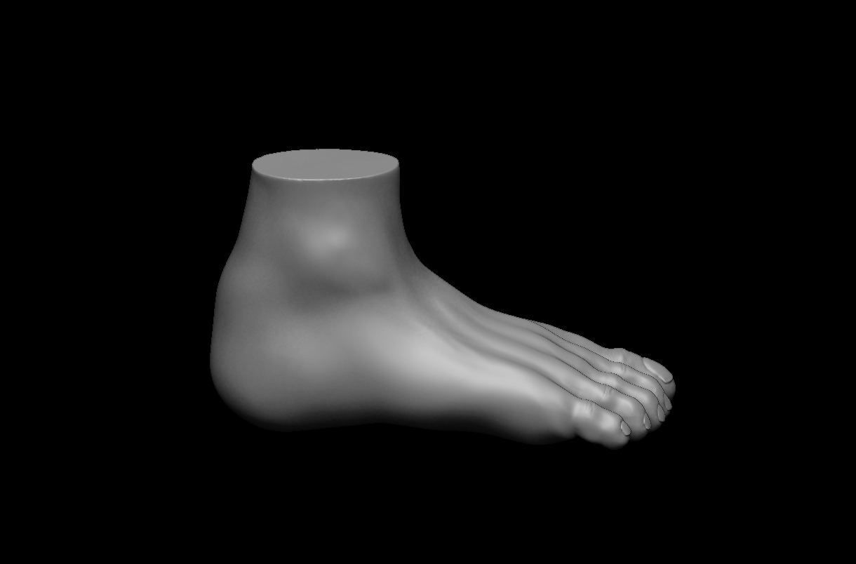modelo 3d Free foot highpoly modelo 3D gratis - TurboSquid 1419093