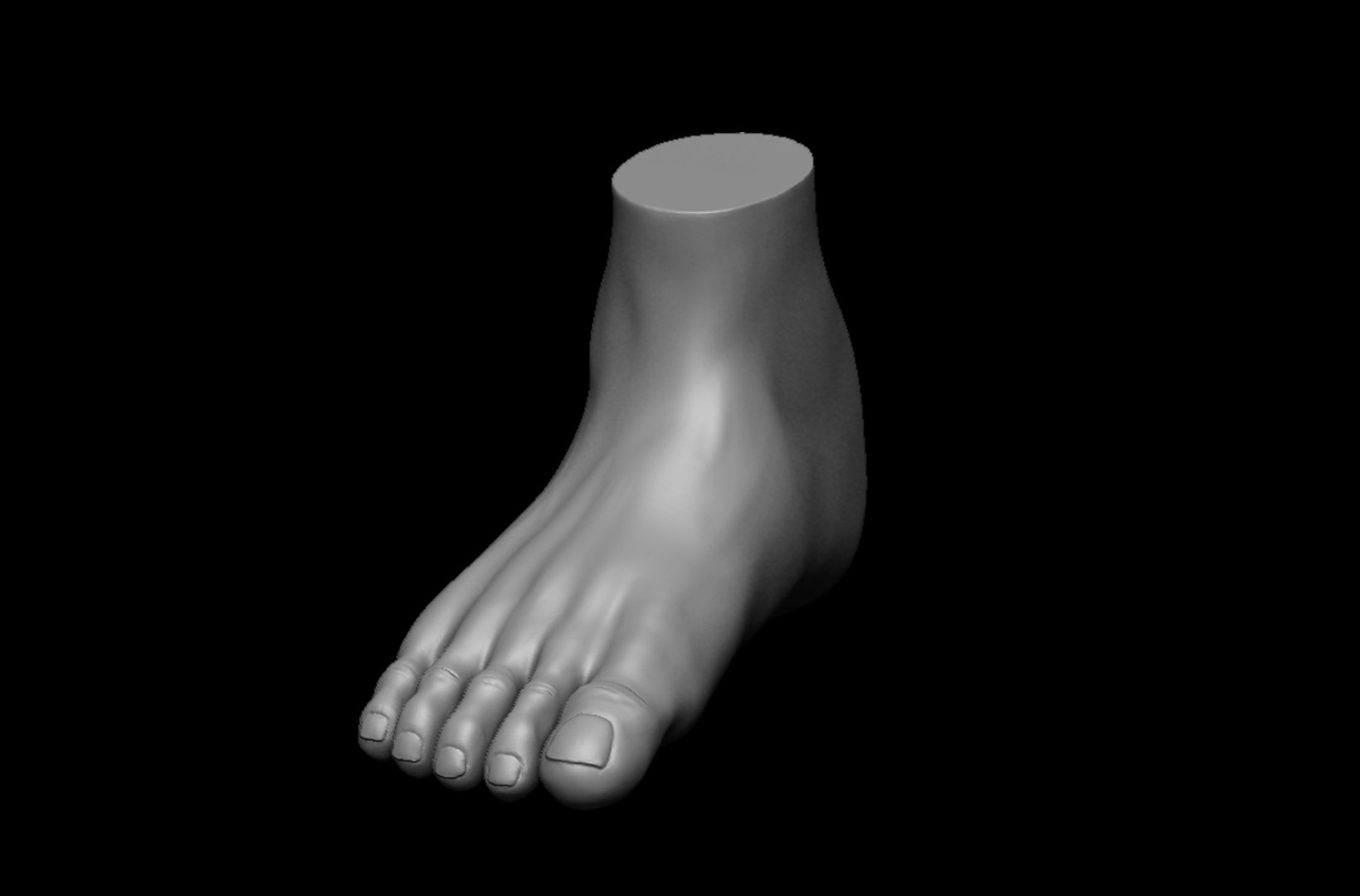 Free 3D Foot Highpoly - TurboSquid 1419093
