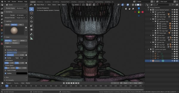 modelo 3d Sistema esquelético humano (modelo High Poly) - TurboSquid ...