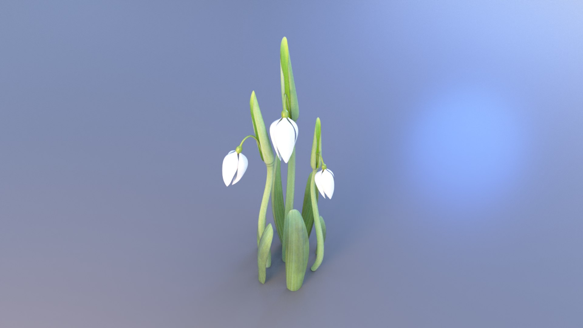 3D small plant - TurboSquid 1765464