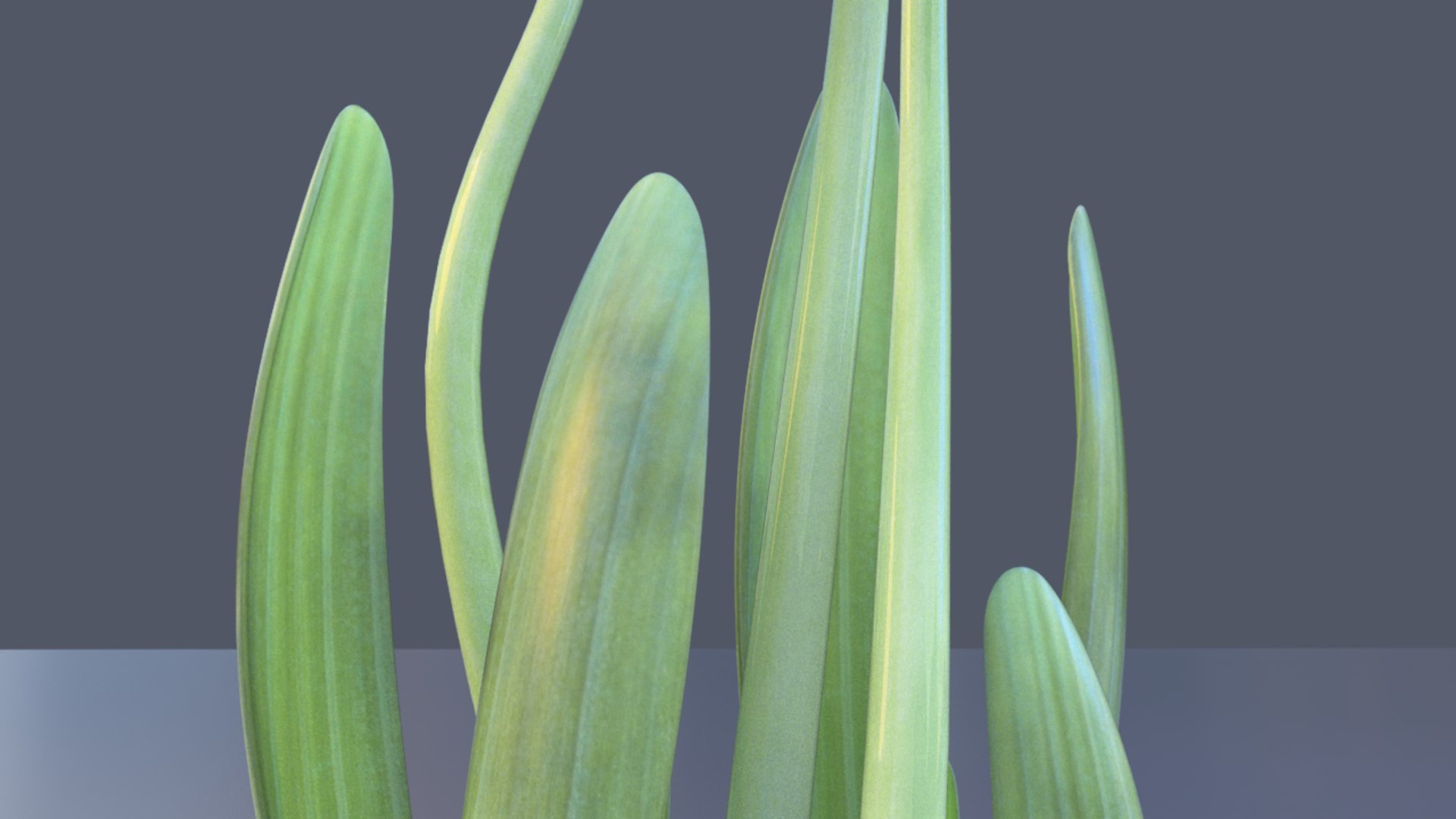 3D small plant - TurboSquid 1765464