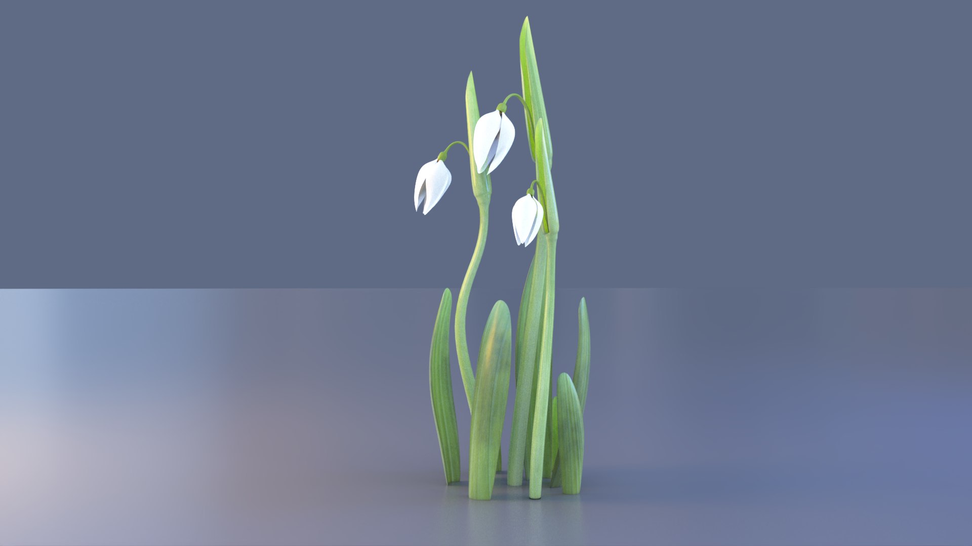 3D small plant - TurboSquid 1765464