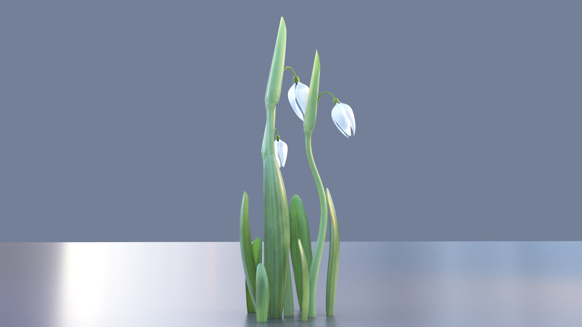 3D small plant - TurboSquid 1765464