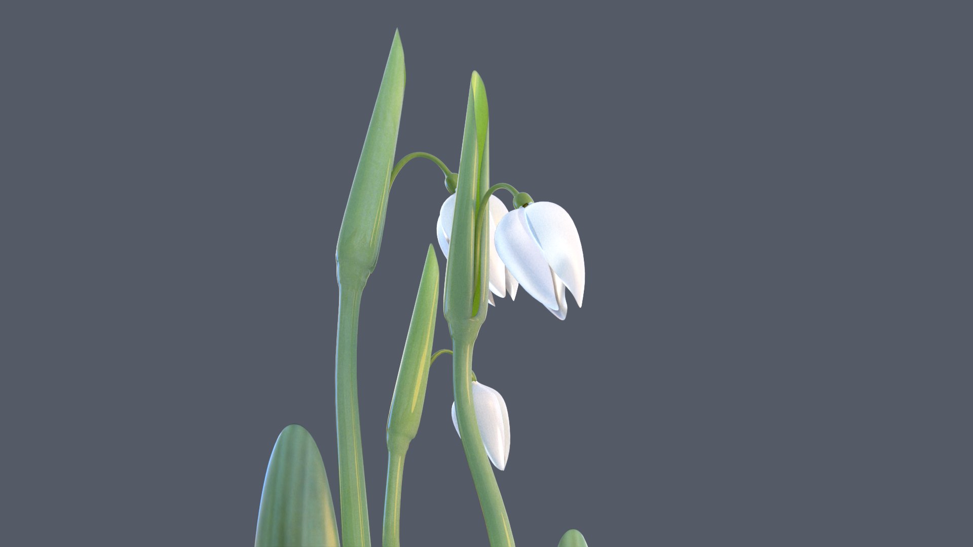 3D small plant - TurboSquid 1765464