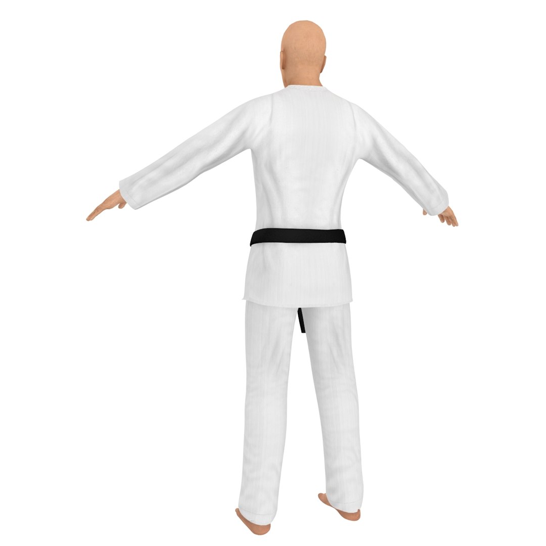 Karate martial artist 3D model - TurboSquid 1291929
