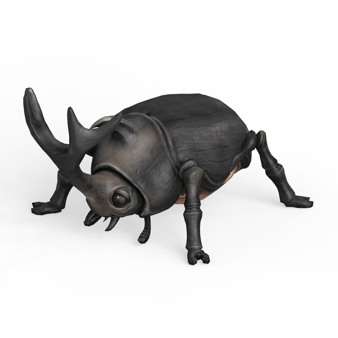 Rhino Beetle 3D Model - TurboSquid 1994538