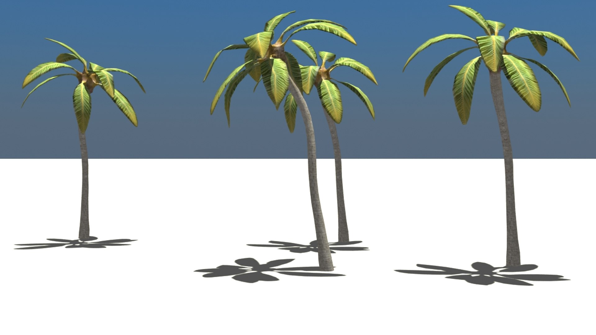 palm tree 3d model