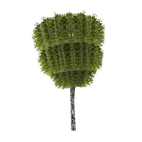 Tree Ps2 3D Models for Download | TurboSquid