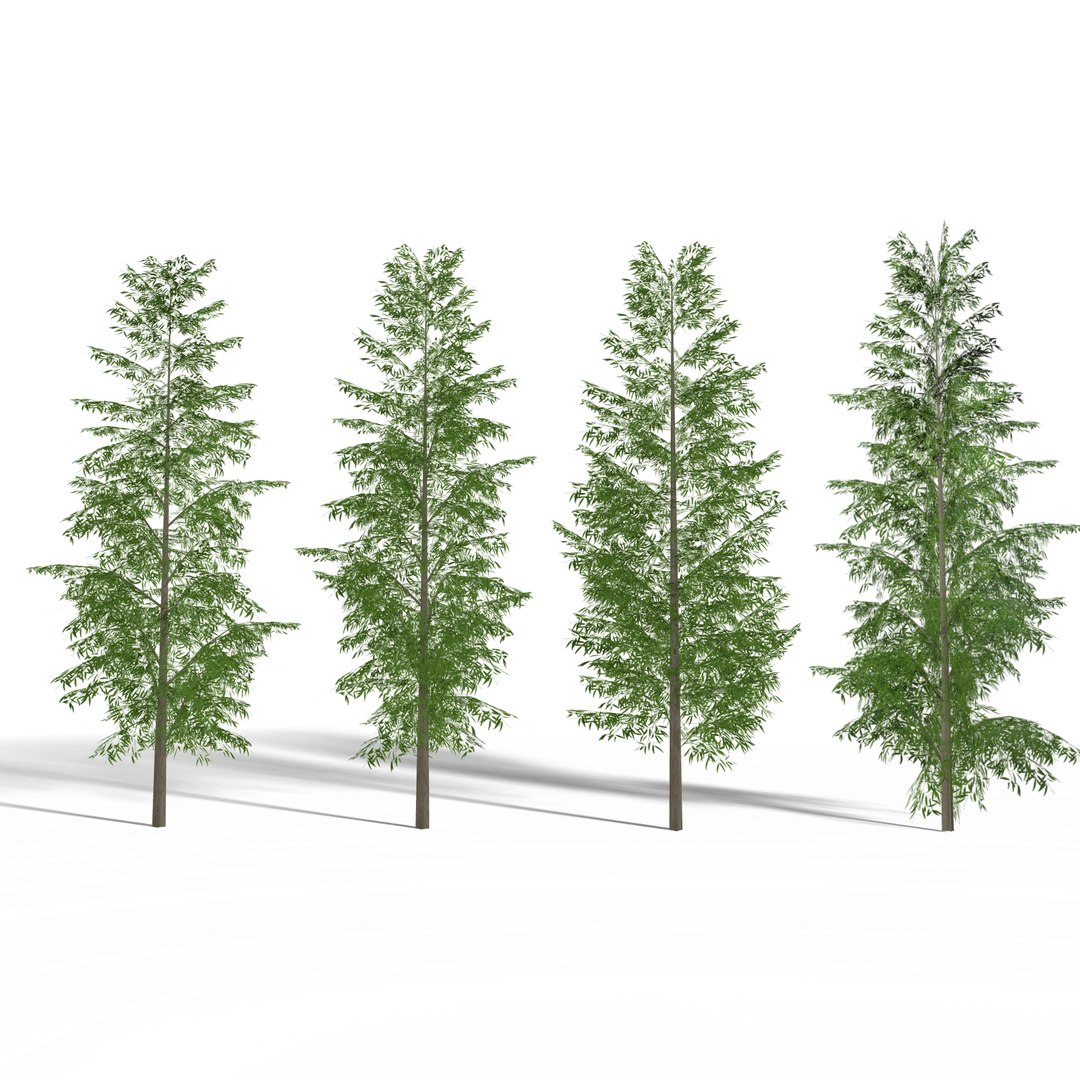 3D Landscape Trees Model - TurboSquid 1248203