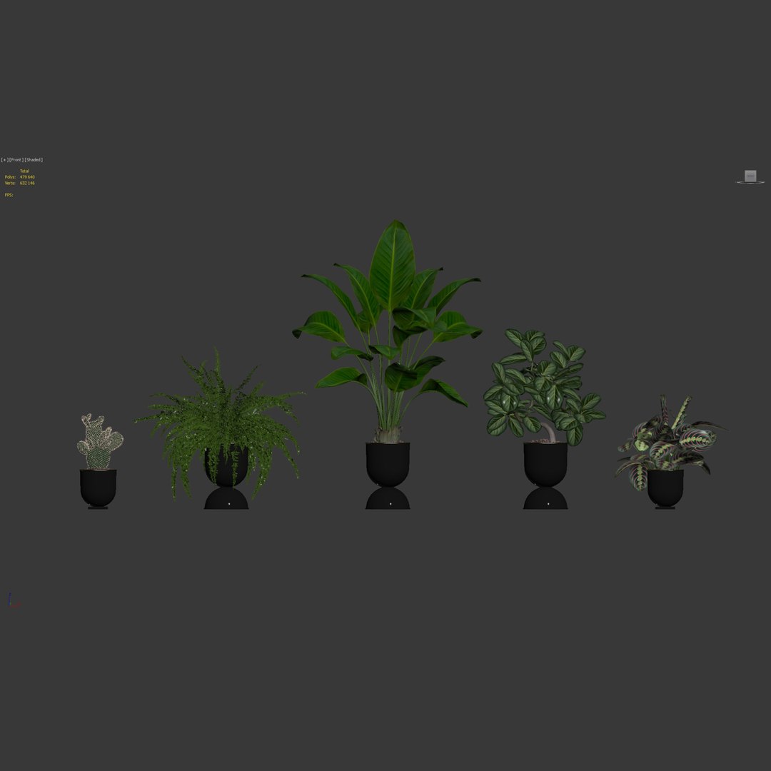 3D Plants Collection 124 - TurboSquid 1958916