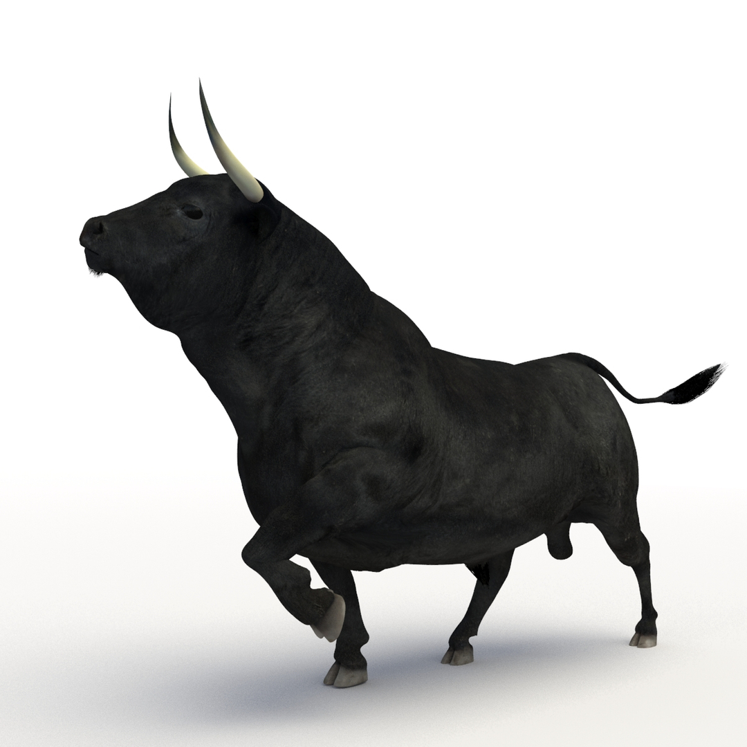 Bull rigged 3D model - TurboSquid 1192640