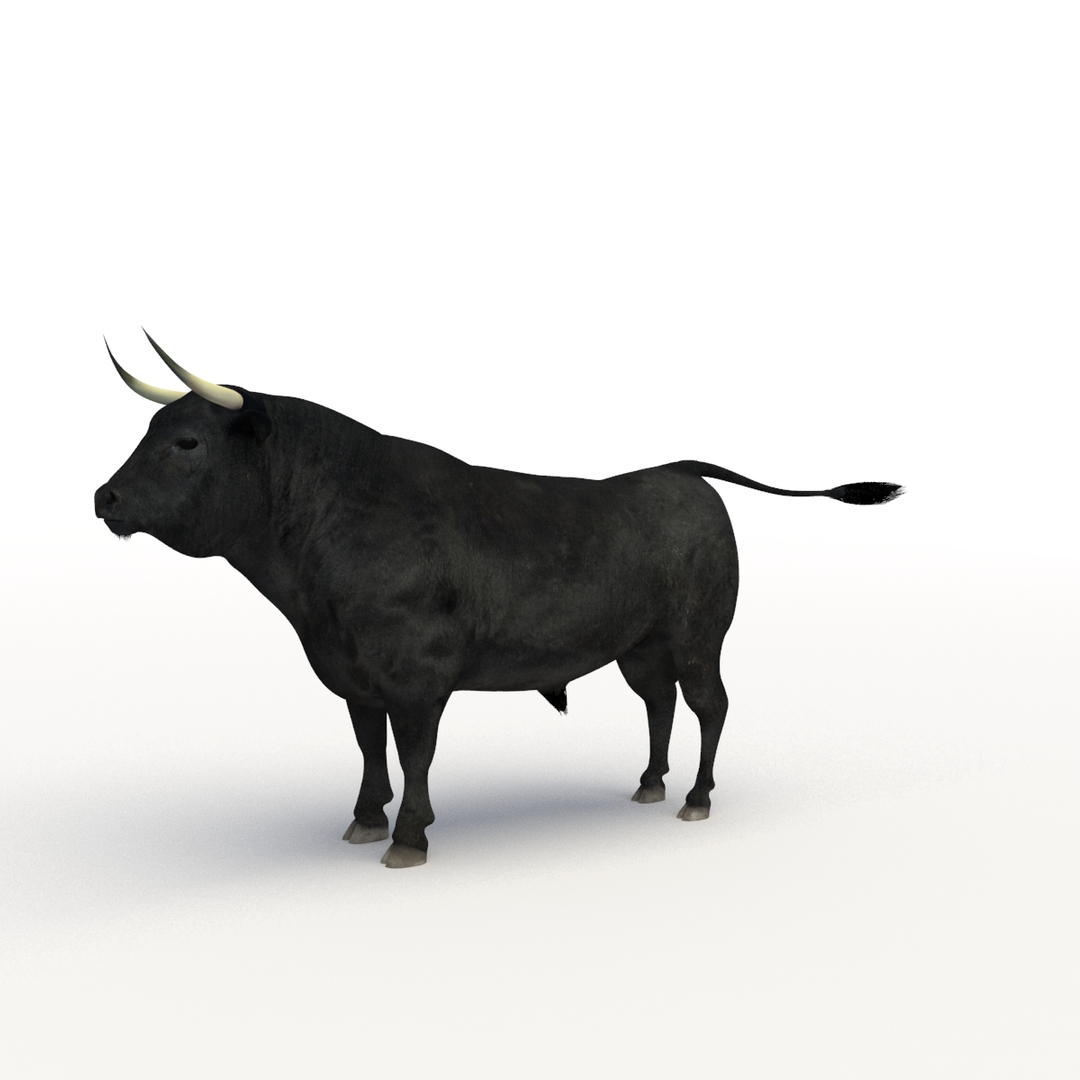 Bull Rigged 3D Model - TurboSquid 1192640