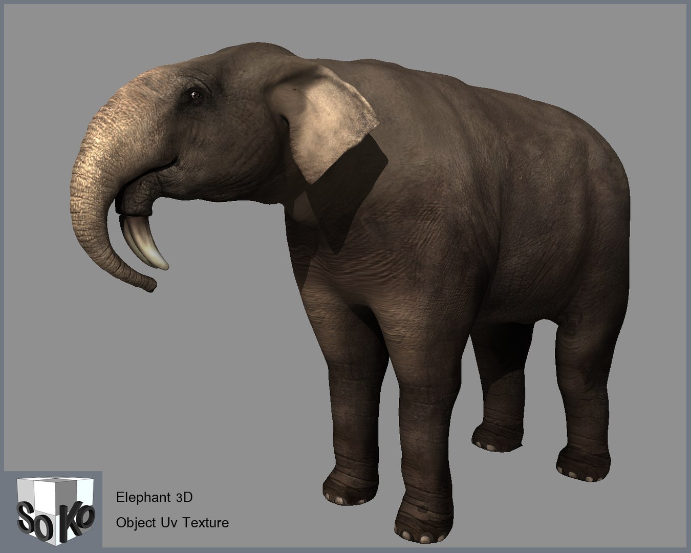 3d Model Elepnant Elephant
