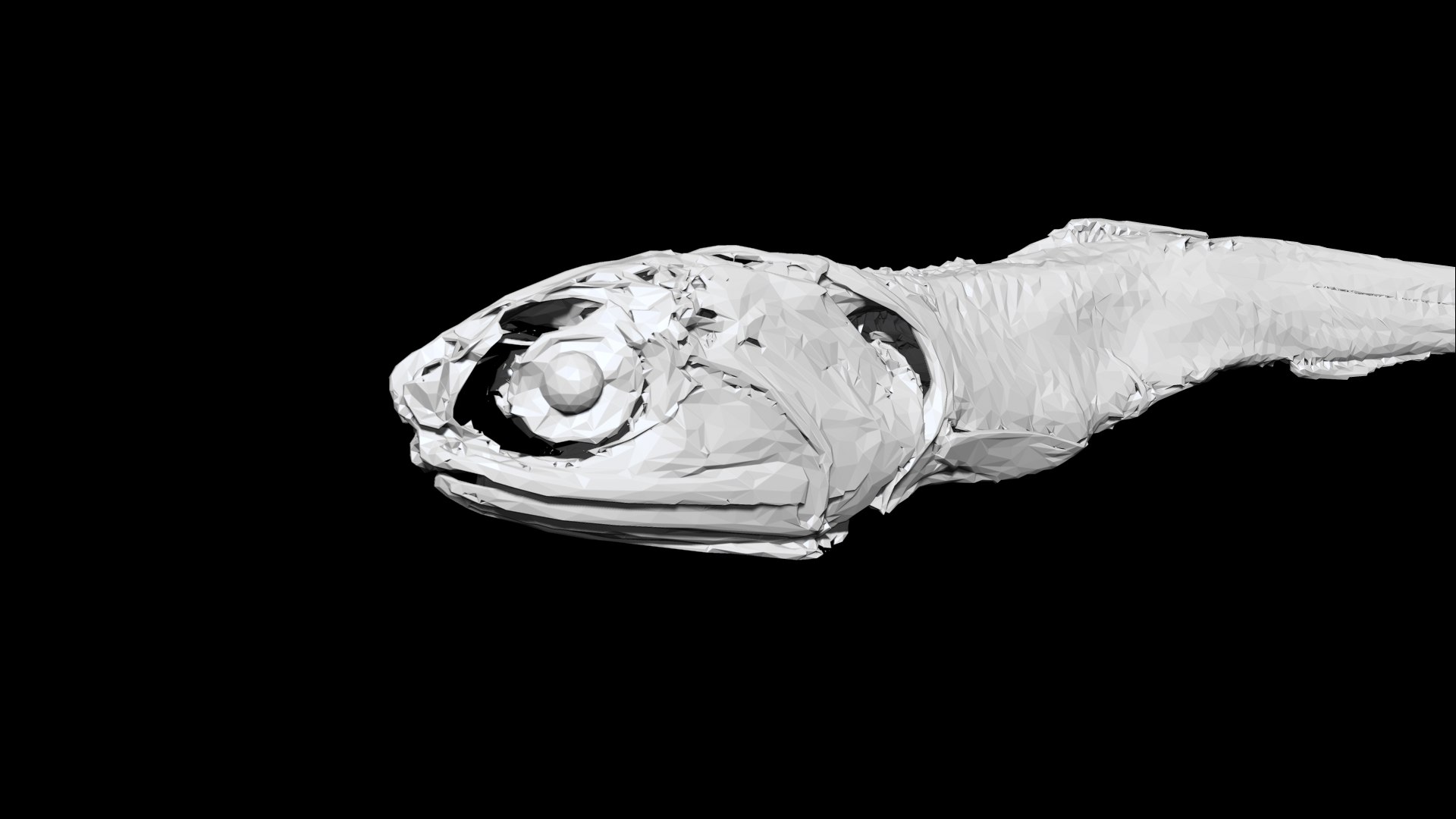 Niboshi Fish 1 3D CT Scan Model Low Poly 3D Model - TurboSquid 1831122