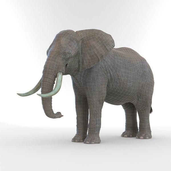 elephant realistic 3d 3ds