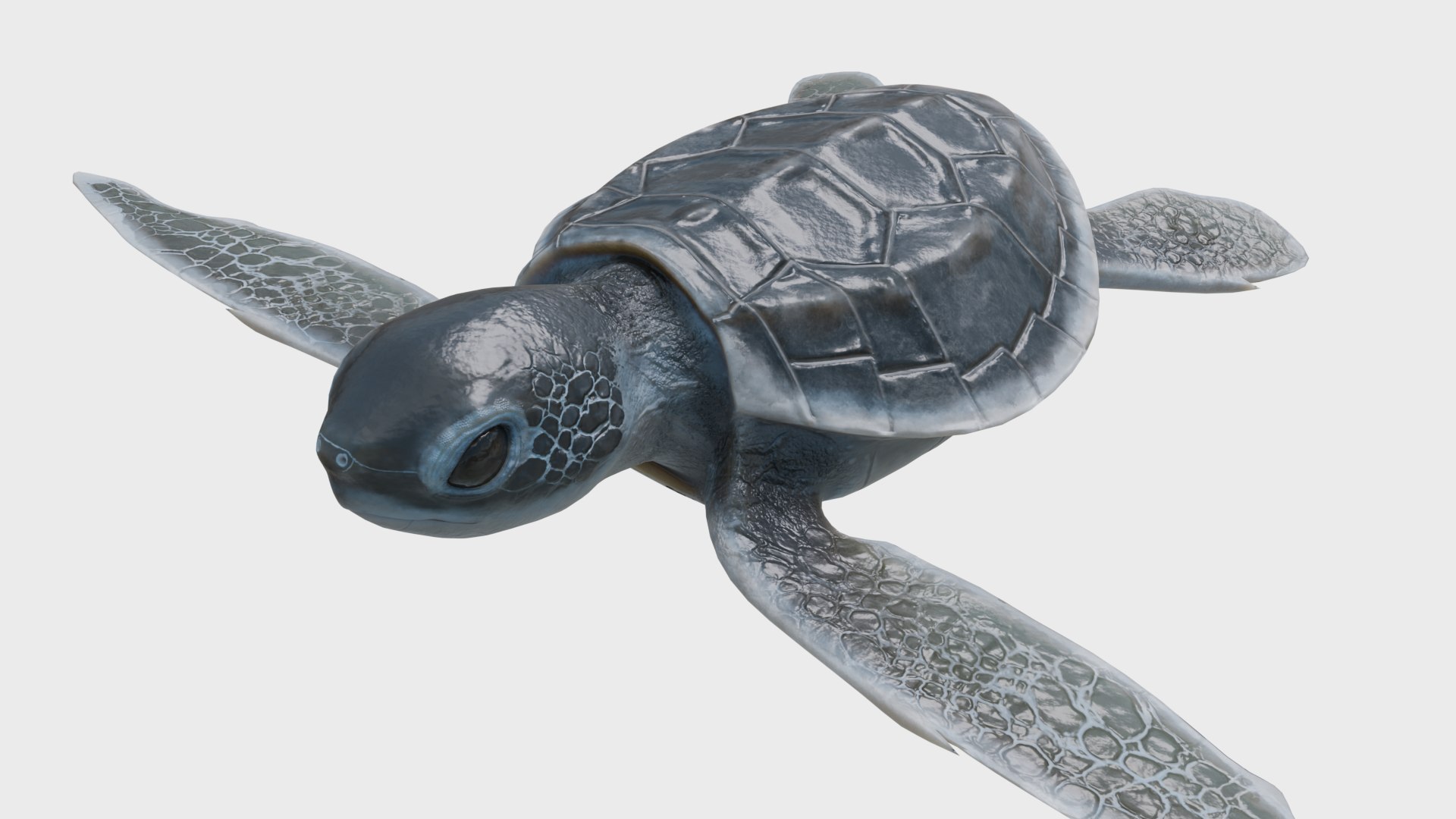 Baby Turtle 3D - TurboSquid 2304327