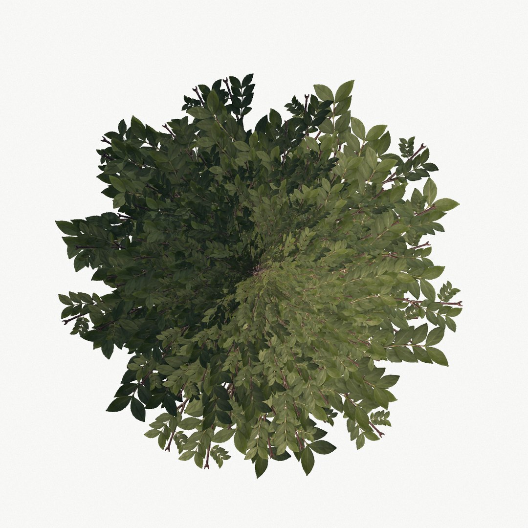 bush type 4 obj