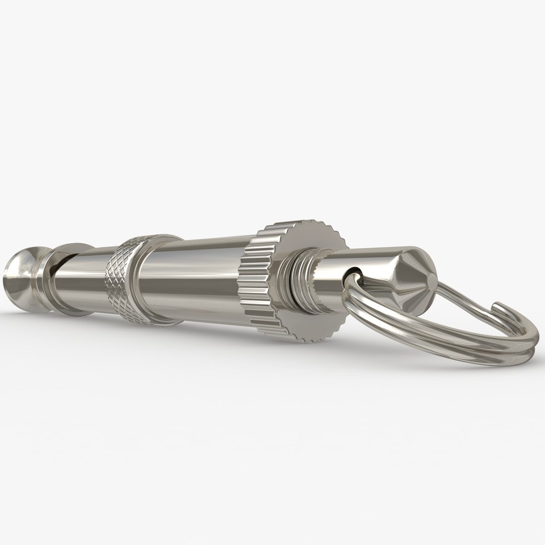 whistle 2 3d model