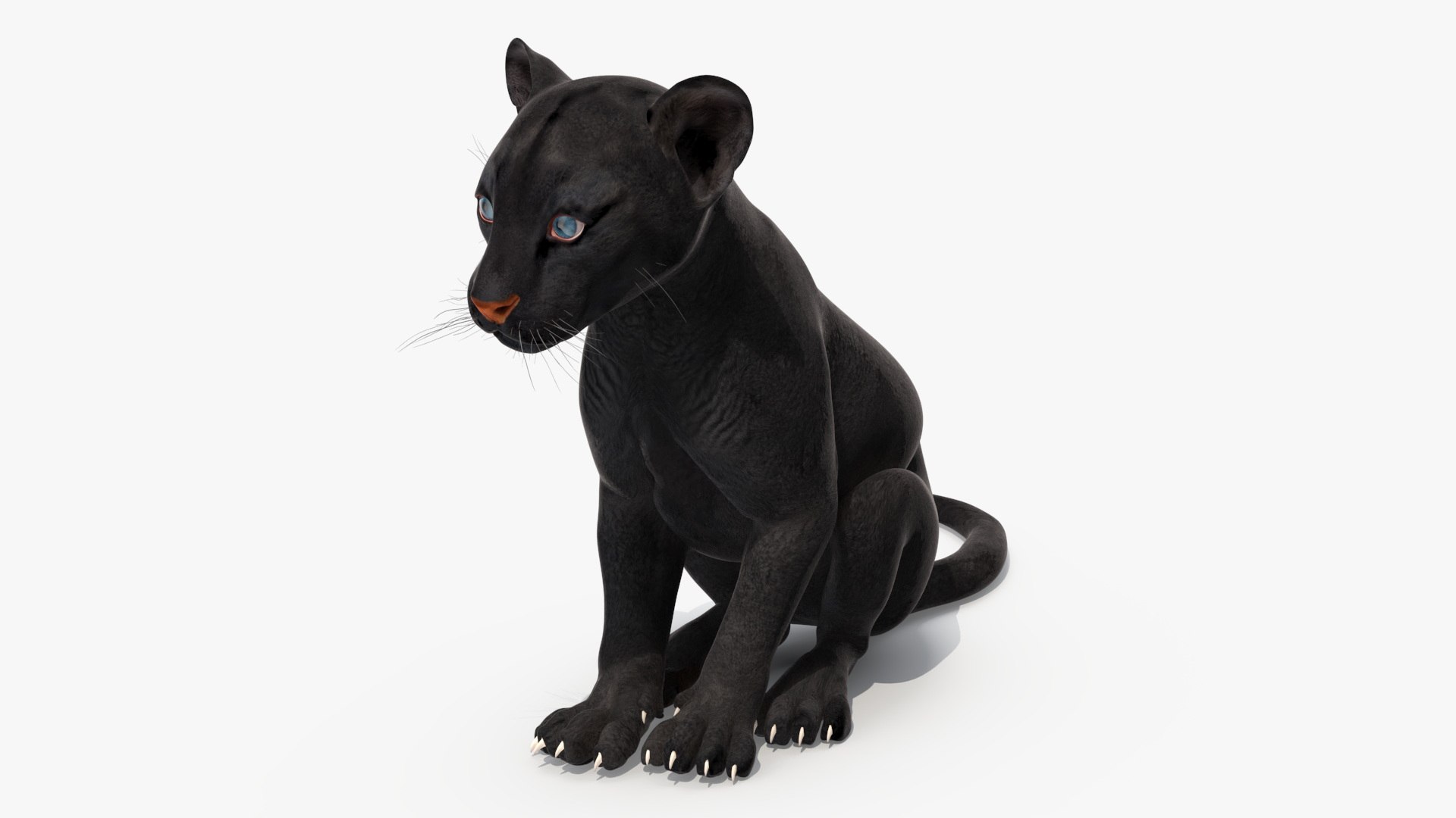 3D Black Panther Cub Sitting Pose - TurboSquid 2342327