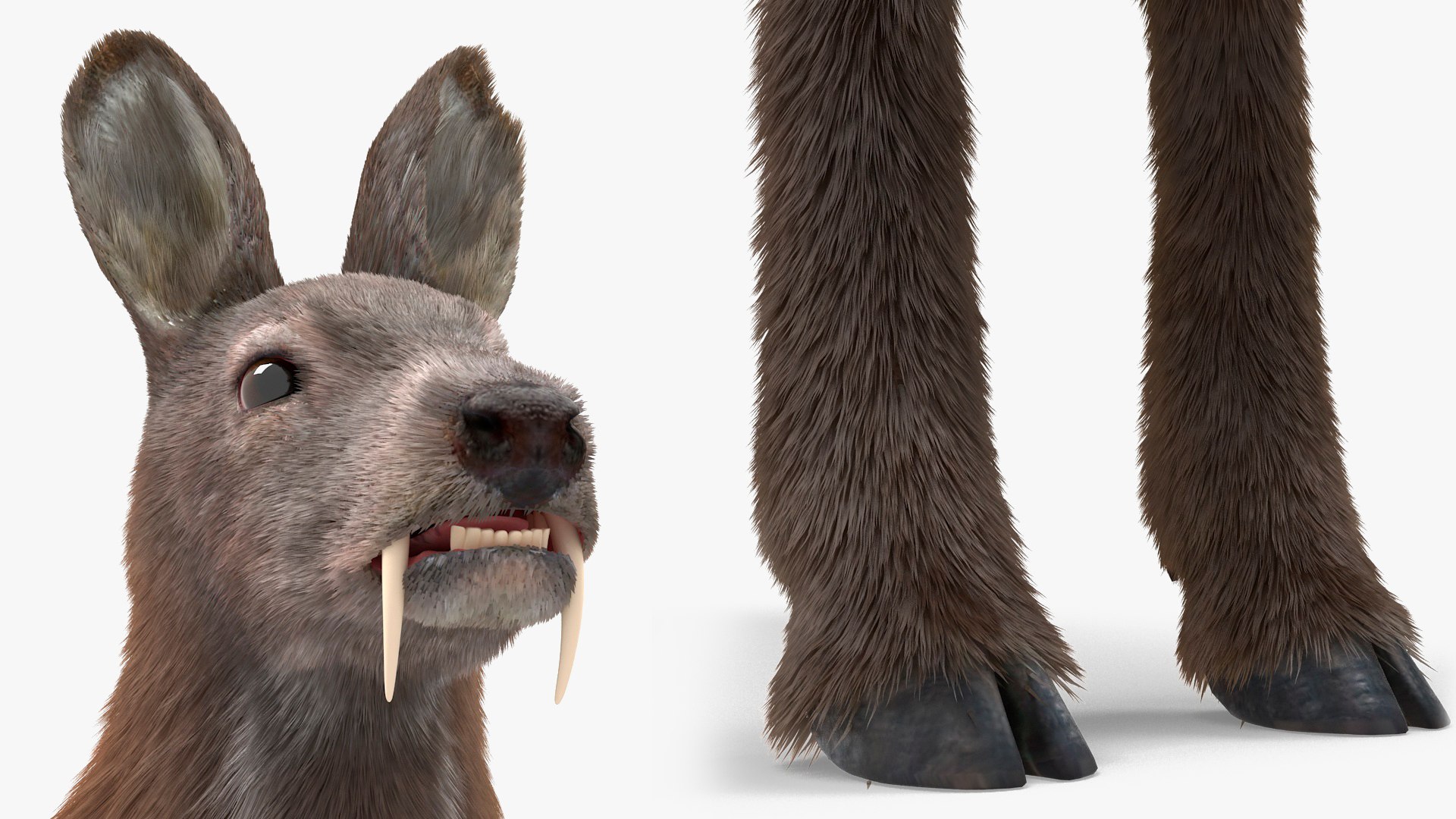 3D Siberian Musk Deer Fur - TurboSquid 2180766