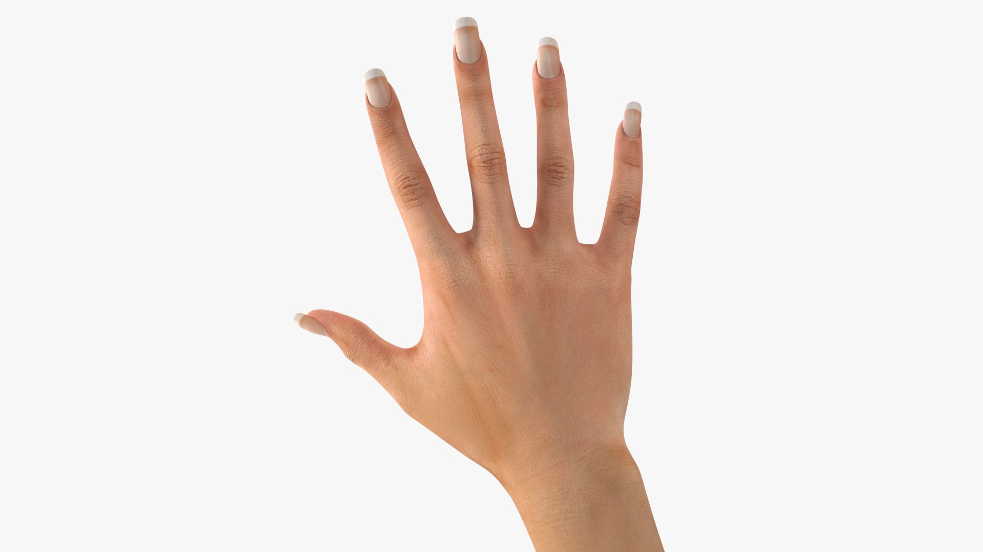 Female Hand 2 Rigged For Maya 3D Model - TurboSquid 2194602