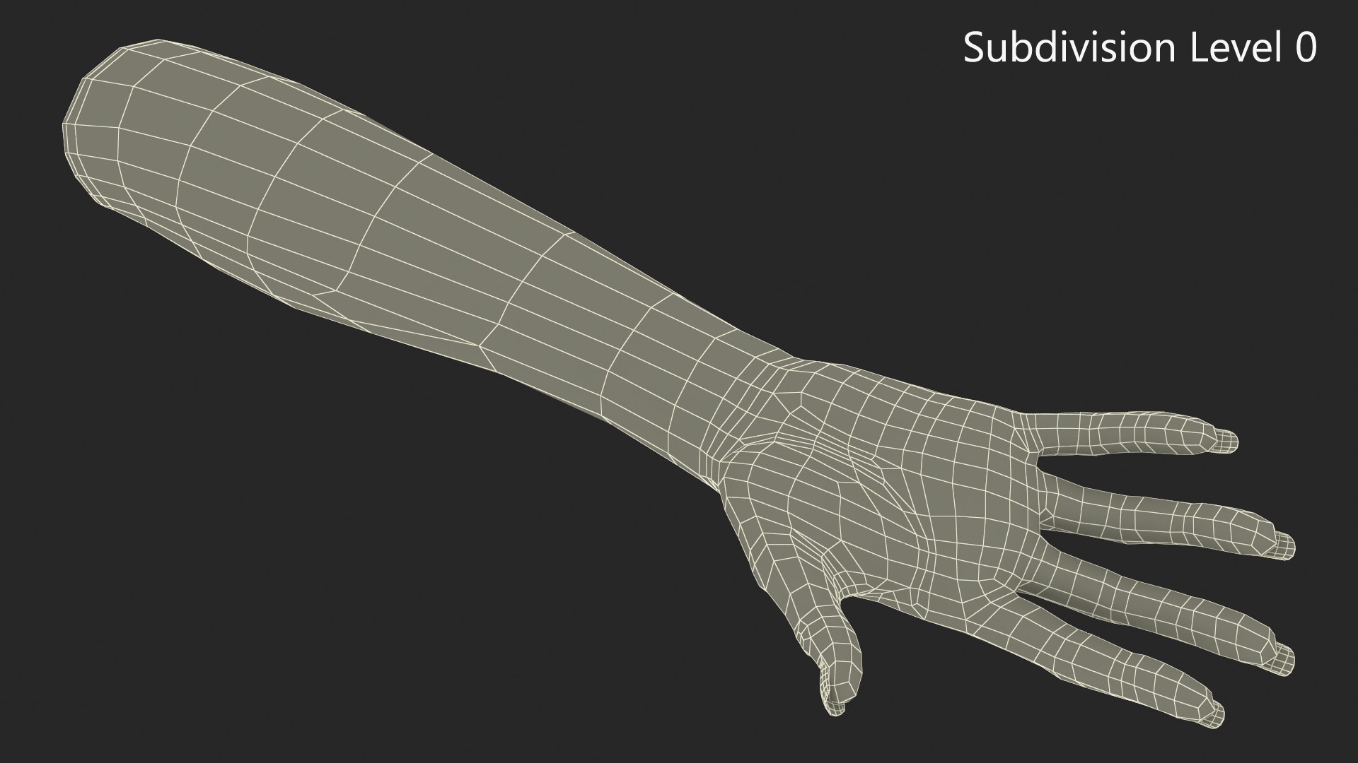Female Hand 2 Rigged For Maya 3D Model - TurboSquid 2194602