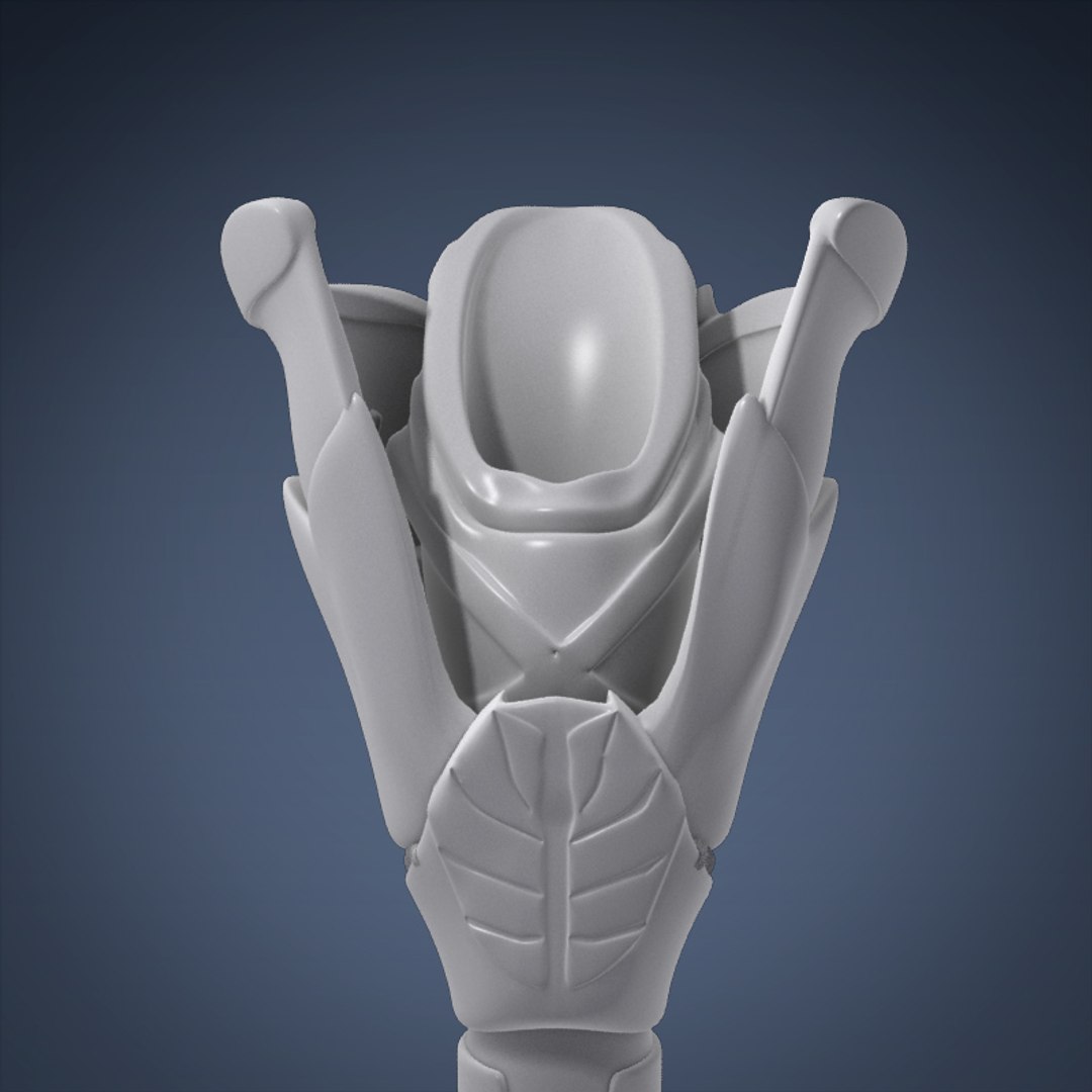 Human Larynx Animation 3d Model