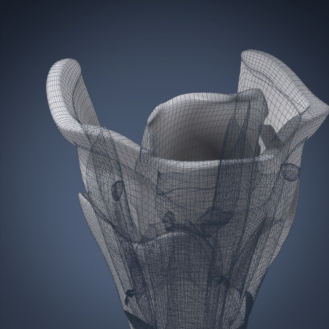 Human Larynx Animation 3d Model