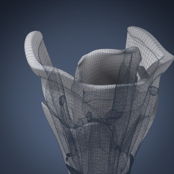 human larynx animation 3d model
