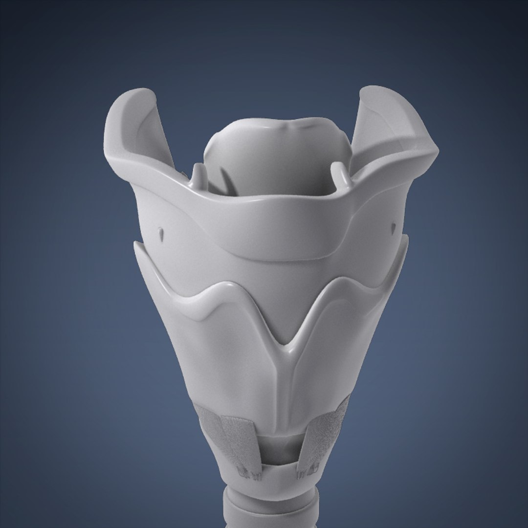Human Larynx Animation 3d Model
