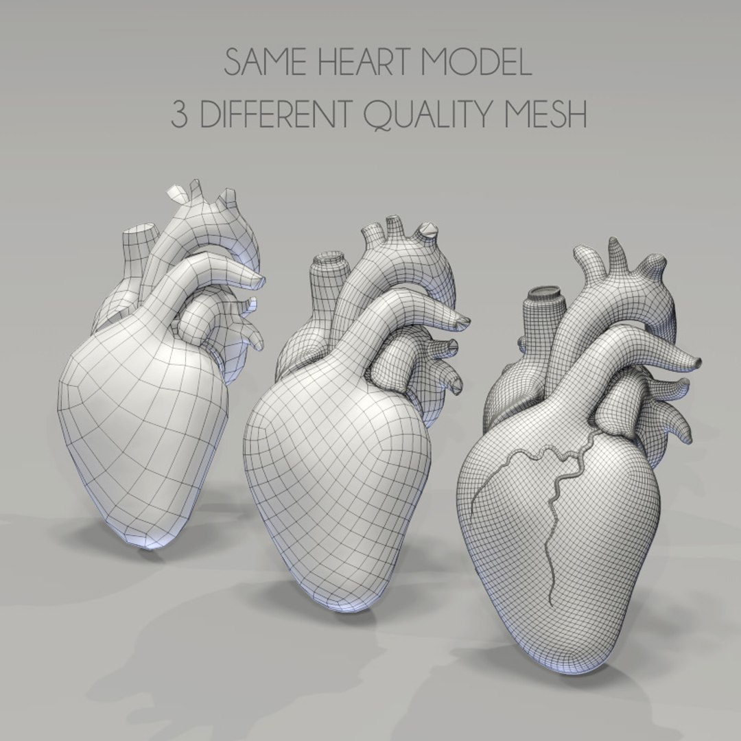 Mesh Heart Human 3ds