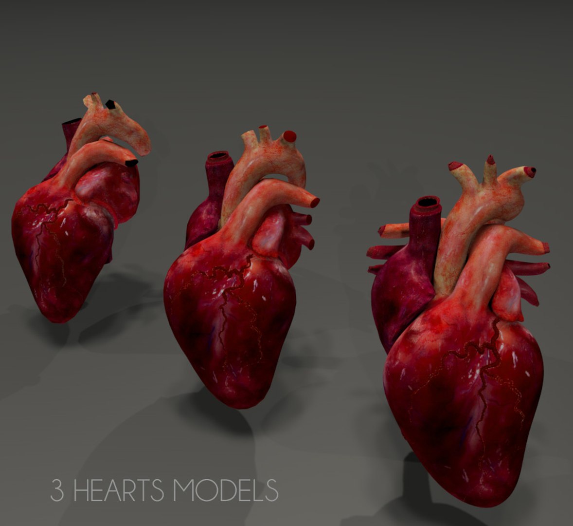 Mesh Heart Human 3ds