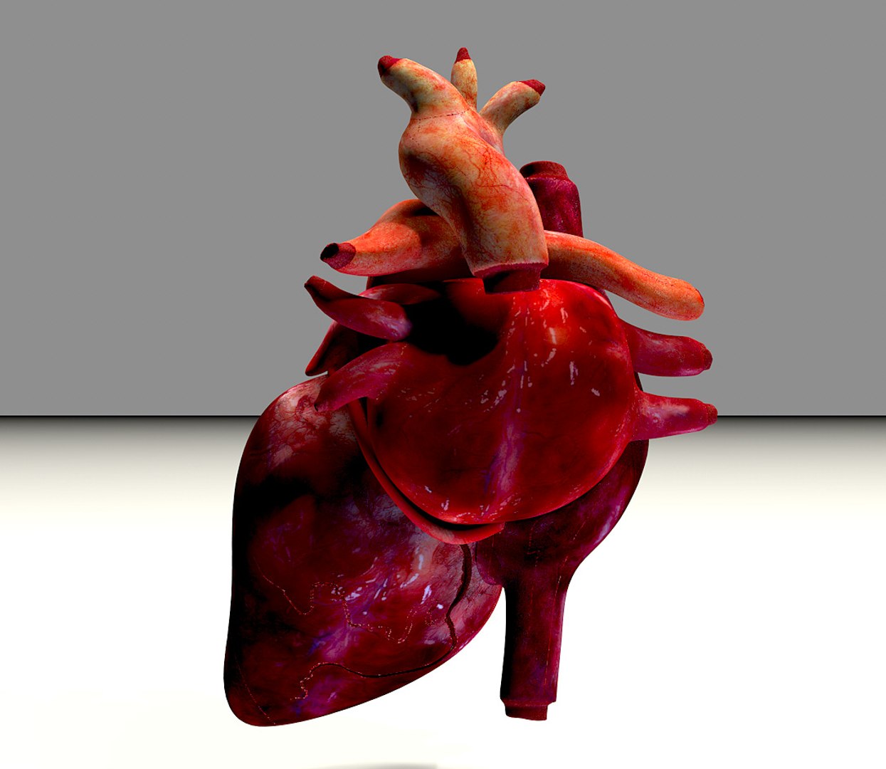 Mesh Heart Human 3ds