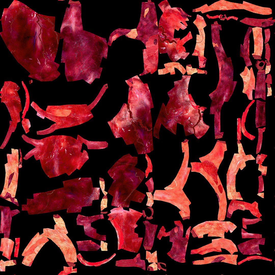 Mesh Heart Human 3ds