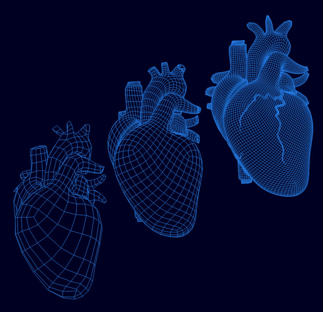 Mesh Heart Human 3ds