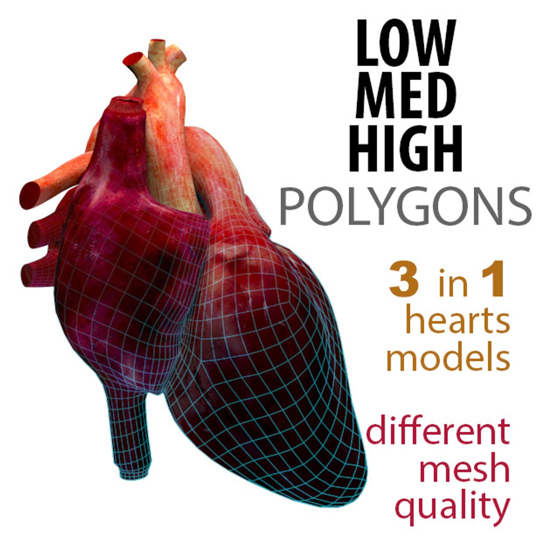 Mesh Heart Human 3ds