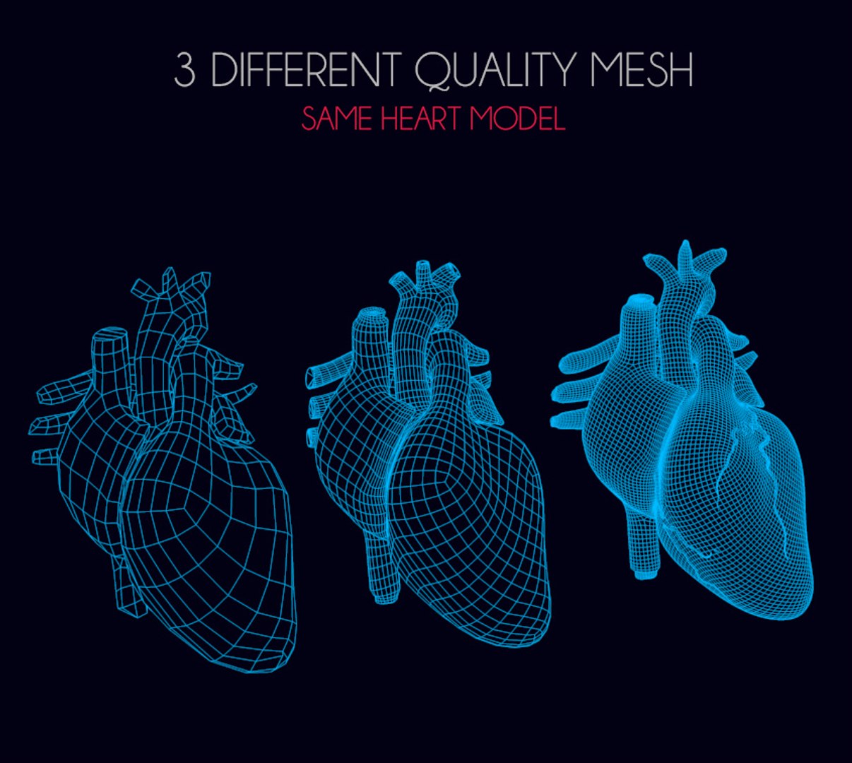 Mesh Heart Human 3ds