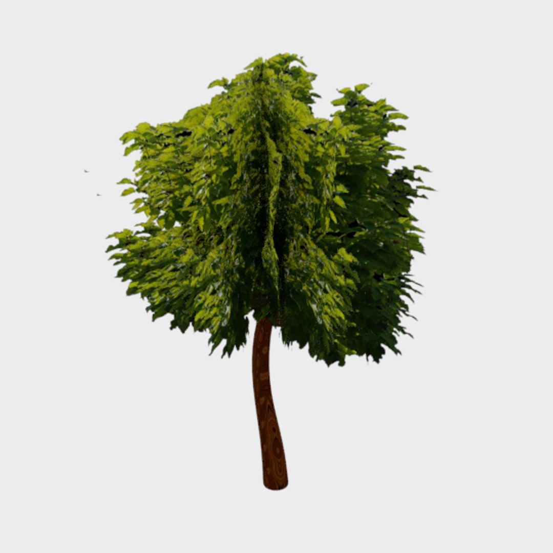 Tree Animation 3D Model - TurboSquid 1551718
