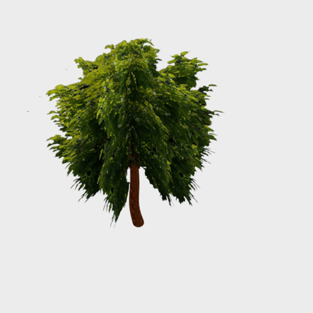Tree Animation 3D Model - TurboSquid 1551718