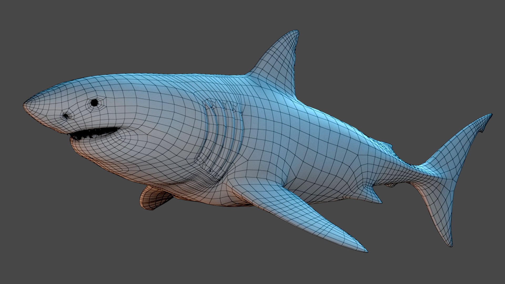 3D Realistic Great White Shark - TurboSquid 1472562