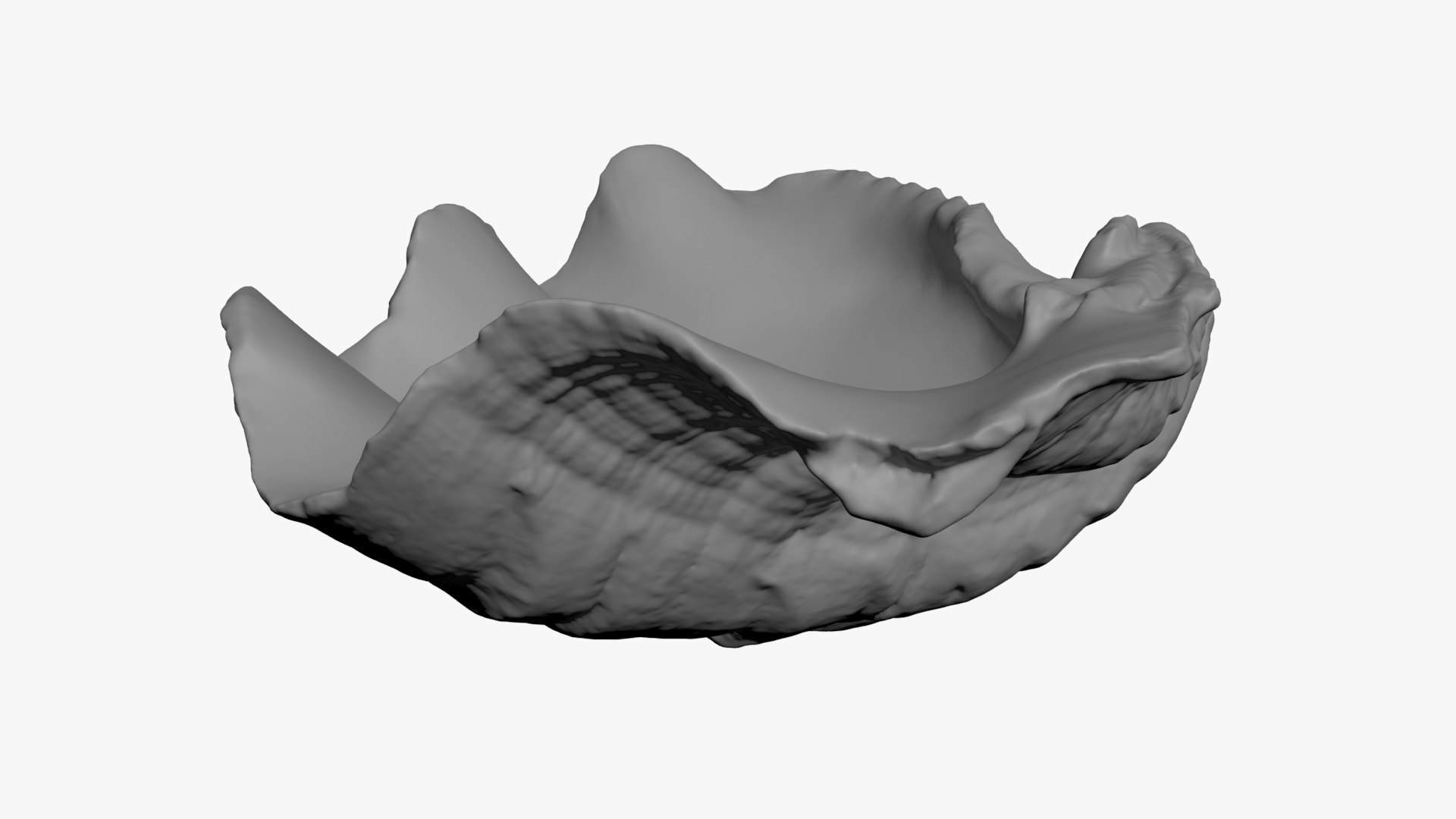 3D Giant Clam Shell Half For 3D Print Model - TurboSquid 2311611