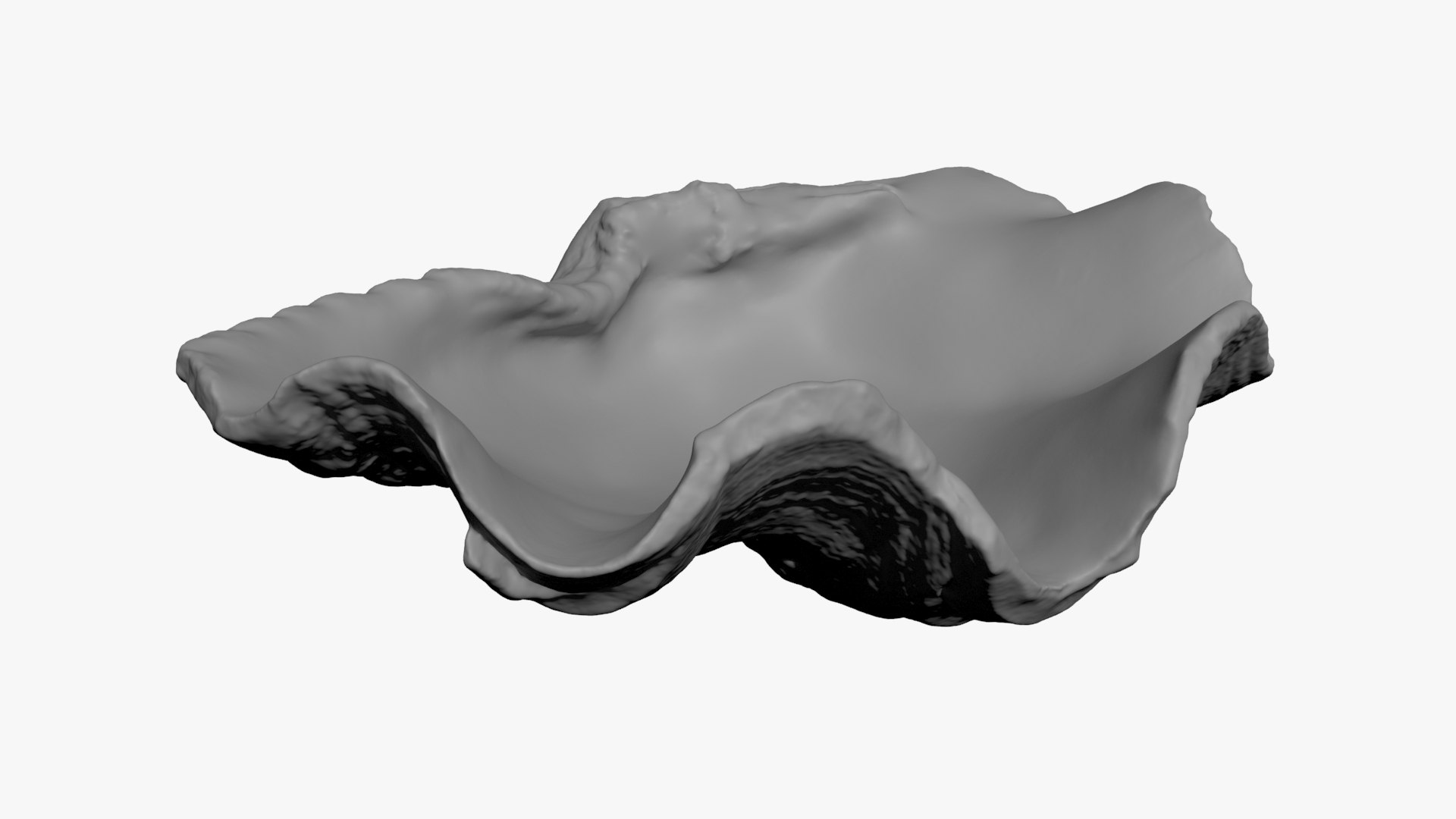3D Giant Clam Shell Half For 3D Print Model - TurboSquid 2311611