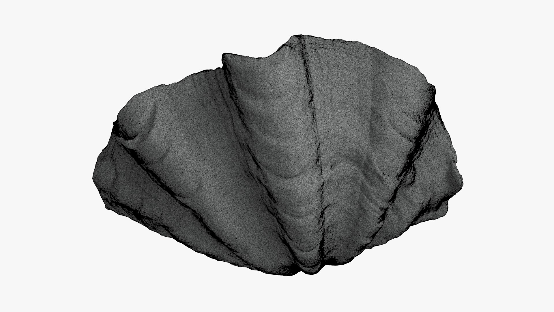 3D Giant Clam Shell Half For 3D Print Model - TurboSquid 2311611