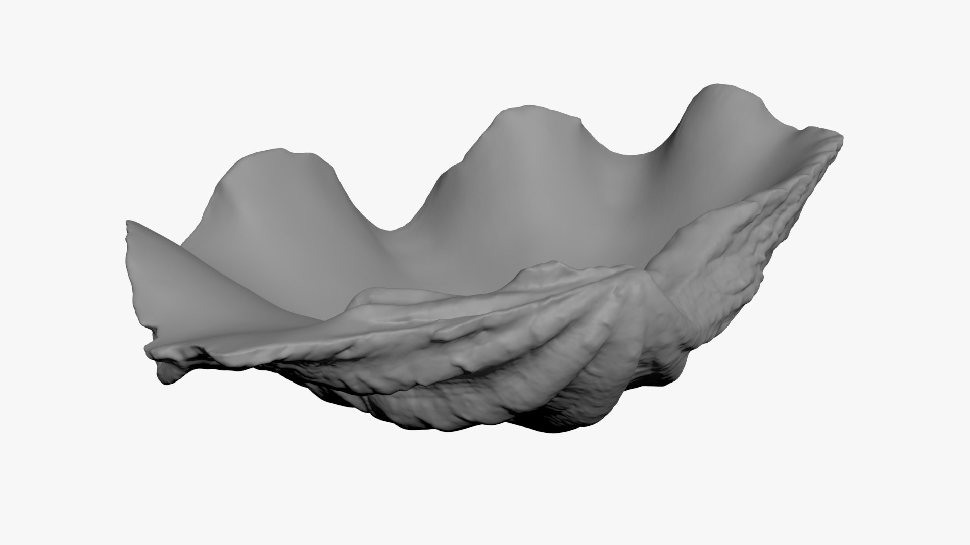 3D Giant Clam Shell Half For 3D Print Model - TurboSquid 2311611