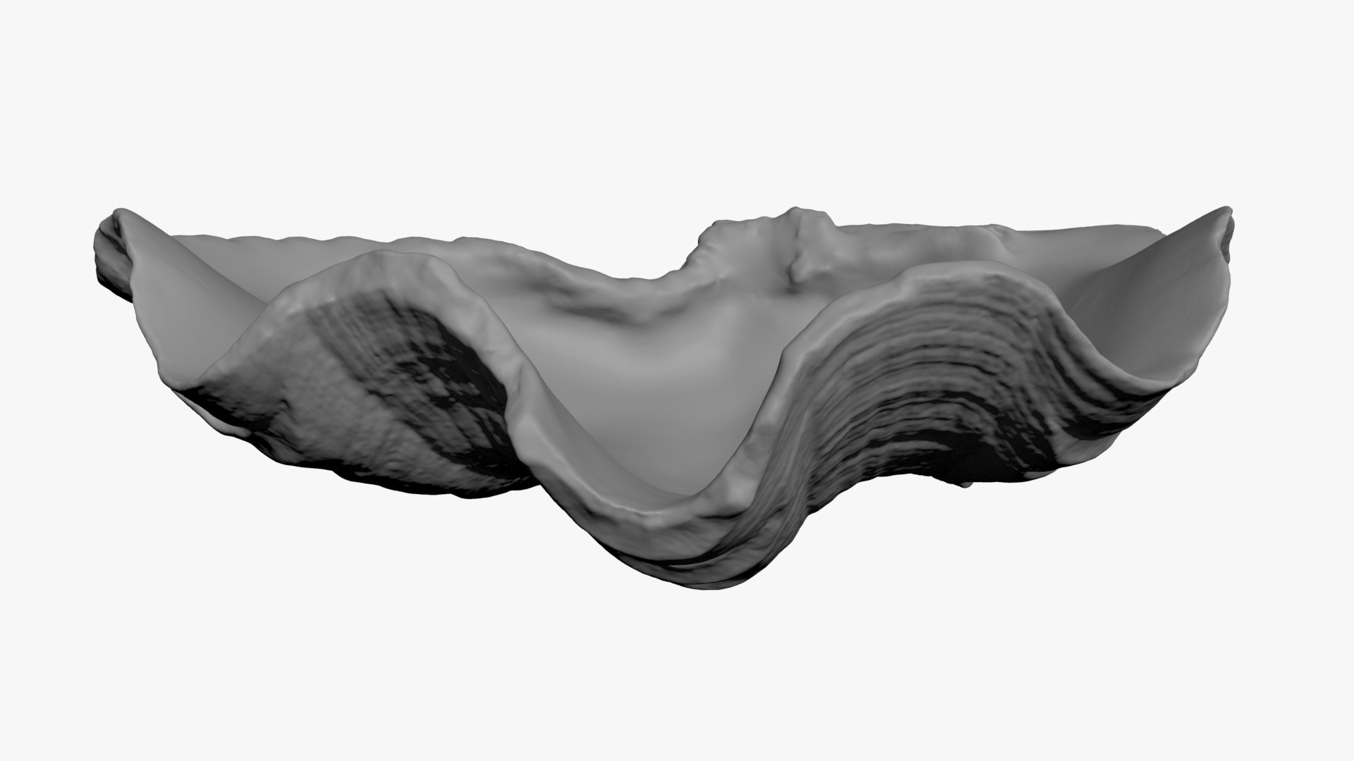 3D Giant Clam Shell Half For 3D Print Model - TurboSquid 2311611
