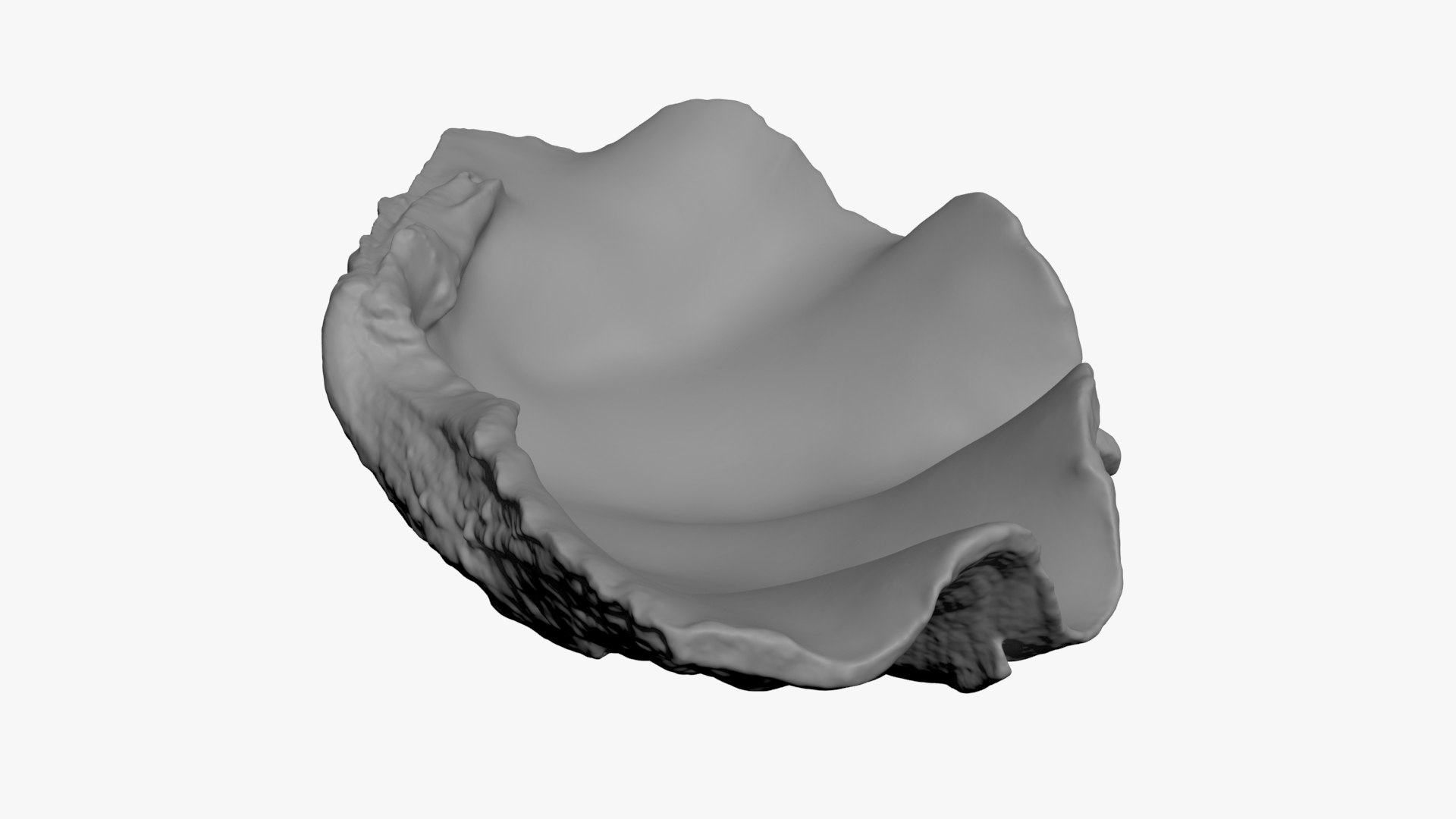 3D Giant Clam Shell Half For 3D Print Model - TurboSquid 2311611