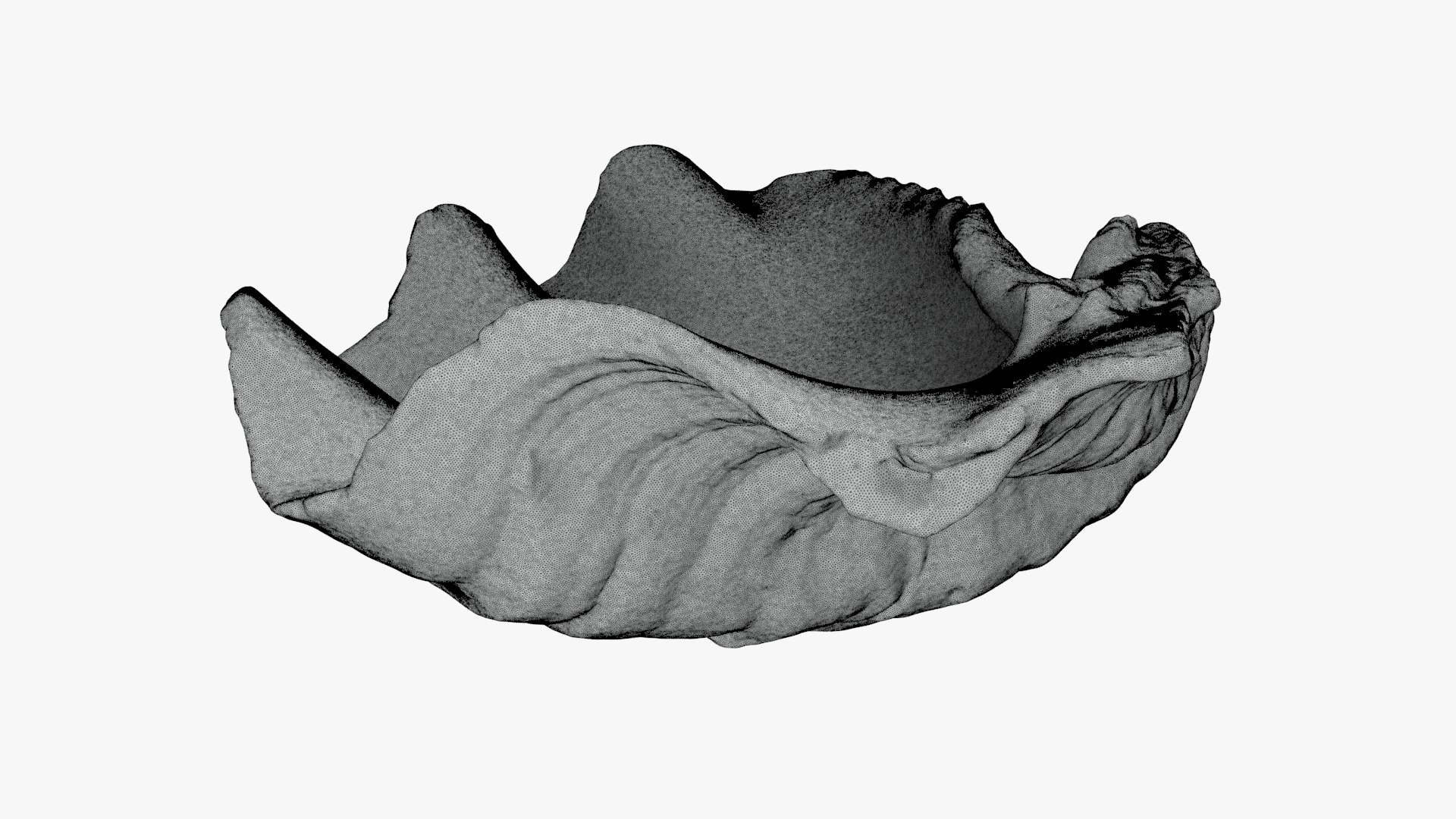 3D Giant Clam Shell Half For 3D Print Model - TurboSquid 2311611