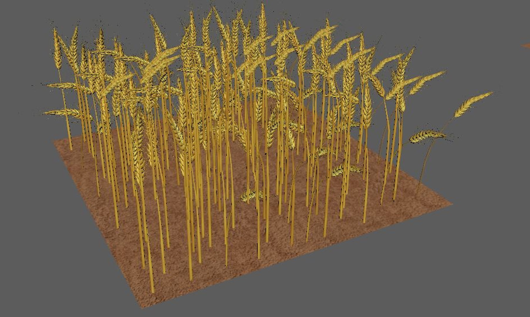 3D Model Wheat Field - TurboSquid 1212720